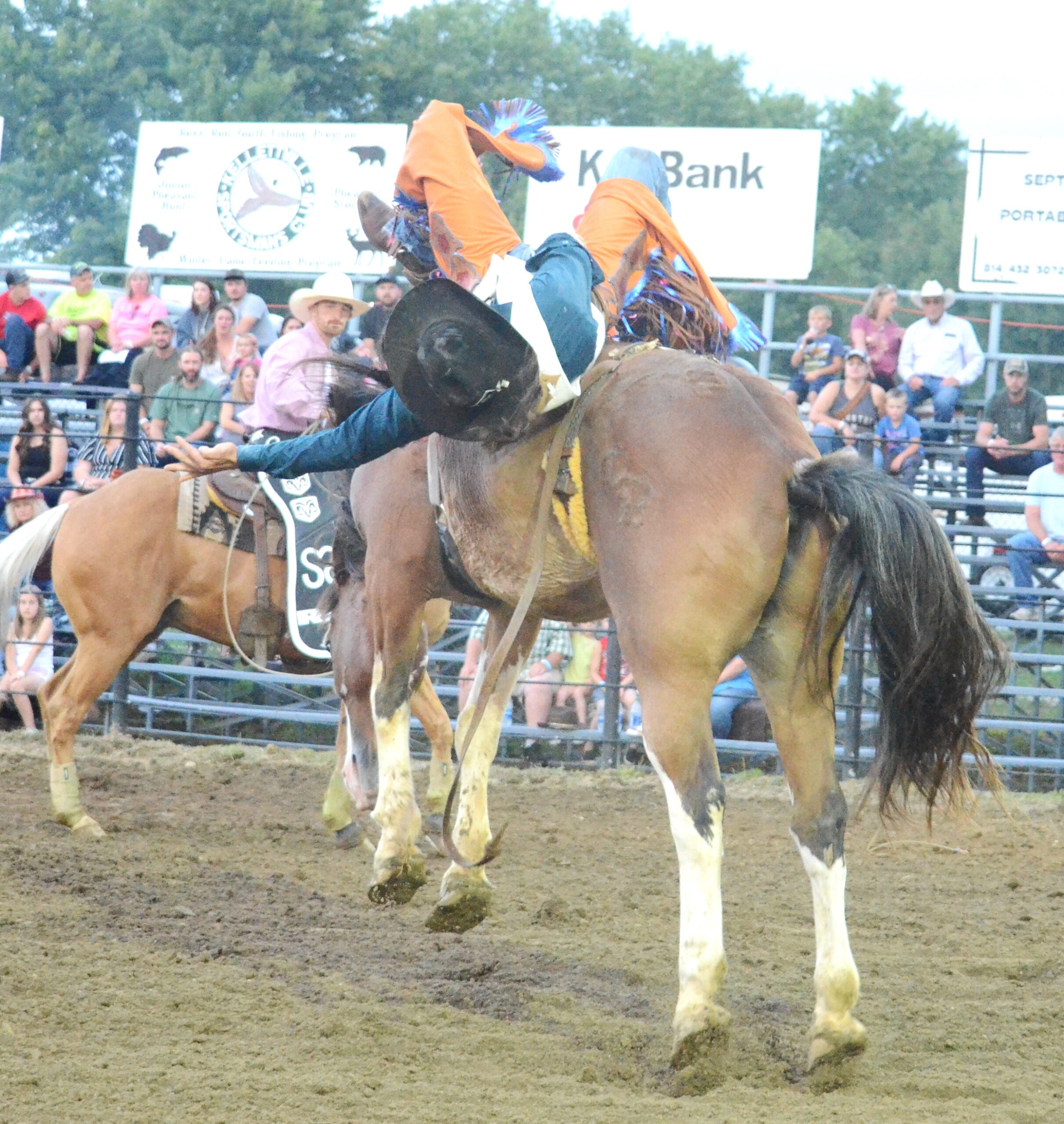 Rodeo participants usually in for a wild ride | News, Sports, Jobs ...